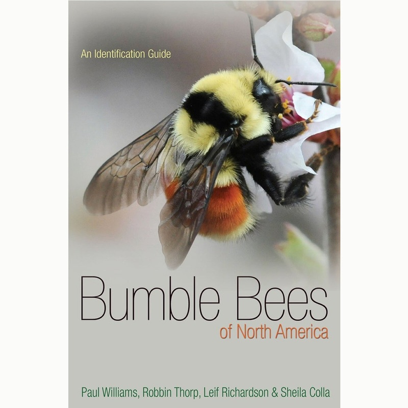 Bumble Bees of NA: An Identification Guide - Shop Animal Zenith ...